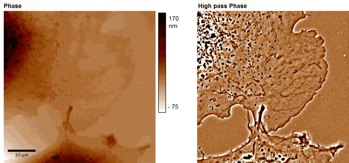 SID4Bio定量相位成像即插即用相机 | CoreAb|北京沫之东生物技术有限公司官网